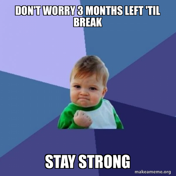 don't worry 3 months left 'til break stay strong - Success Kid Meme ...