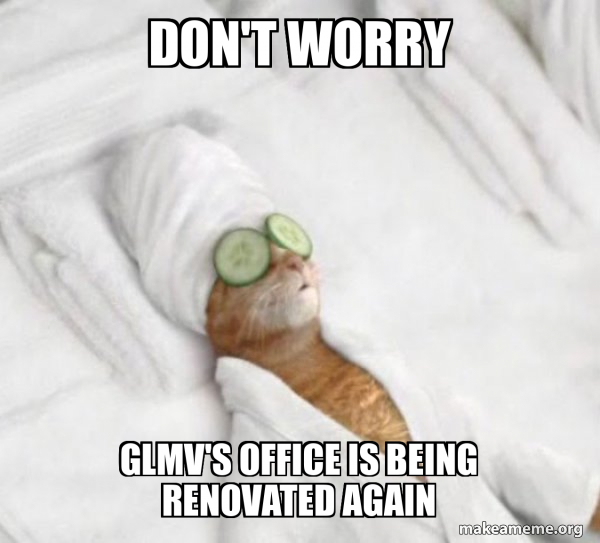 Don't worry GLMV's Office is being renovated again - Pampered Cat Meme ...
