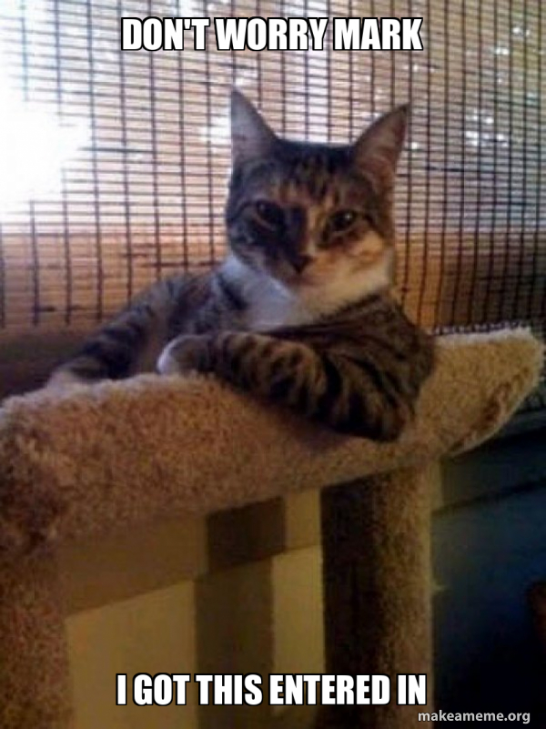 don't worry mark i got this entered in - The Most Interesting Cat in ...