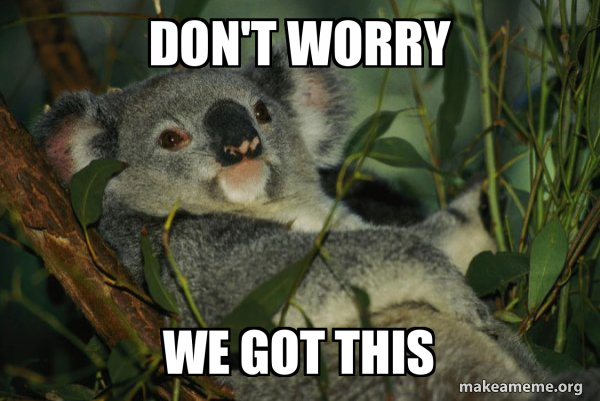 don't worry we got this - Laid Back Koala Meme Generator