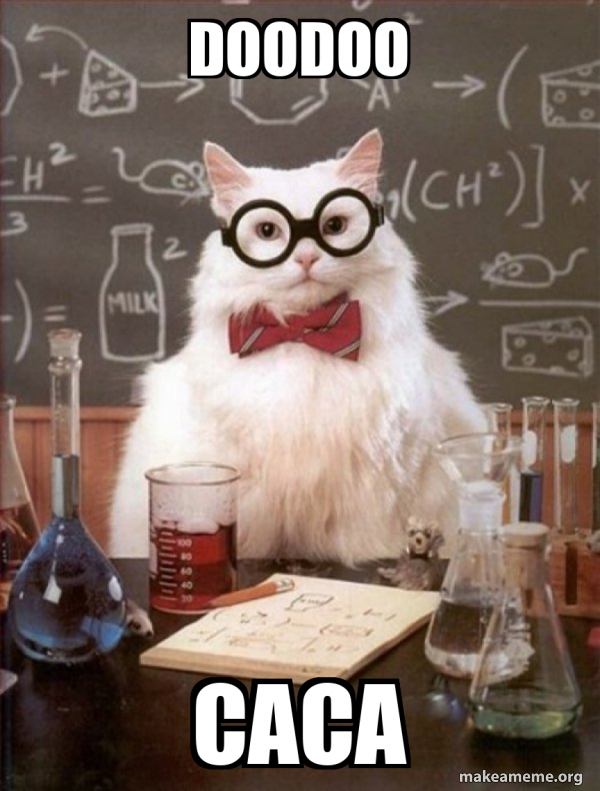 Doodoo Caca - Chemistry Cat Meme Generator