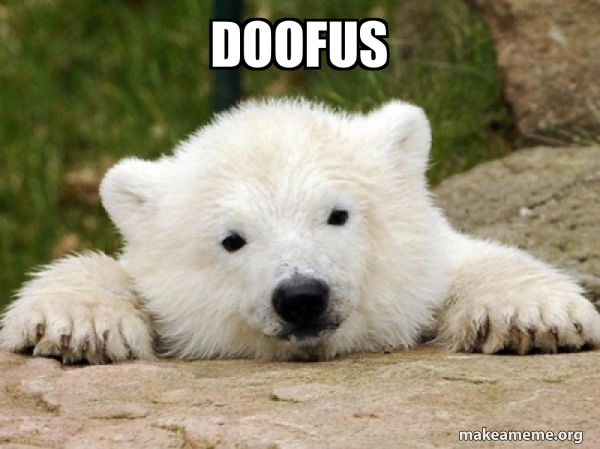 Doofus - Popular Opinion Bear Meme Generator