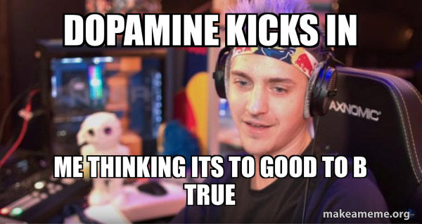 dopamine kicks in me thinking its to good to b true - Ninja Tyler ...