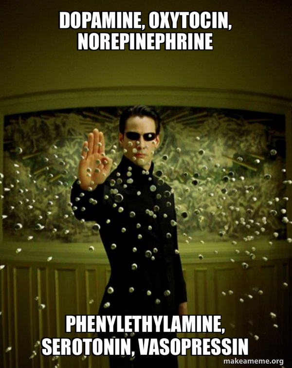 Dopamine, Oxytocin, Norepinephrine Phenylethylamine, Serotonin ...