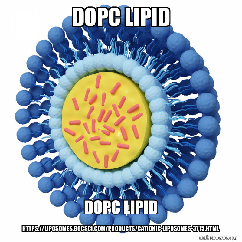 dopc lipid dopc lipid https://liposomes.bocsci.com/products/cationic ...