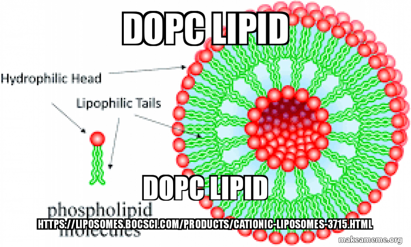 dopc lipid dopc lipid https://liposomes.bocsci.com/products/cationic ...