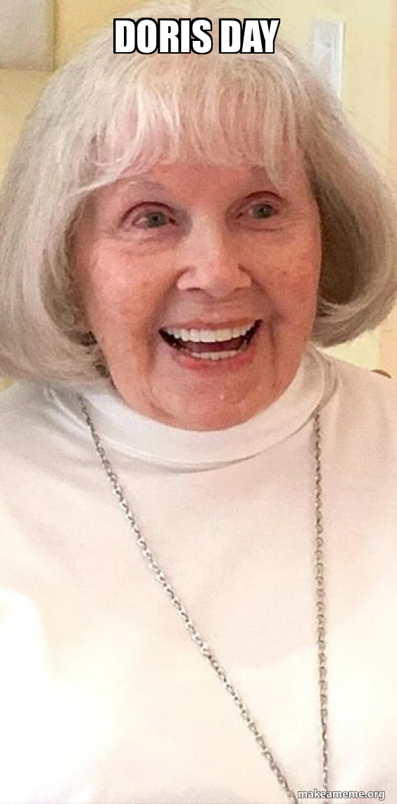 DORIS DAY Meme Generator