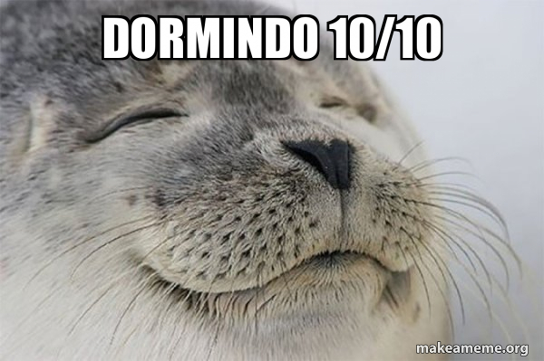 Dormindo 10/10 - Satisfied Seal Meme Generator