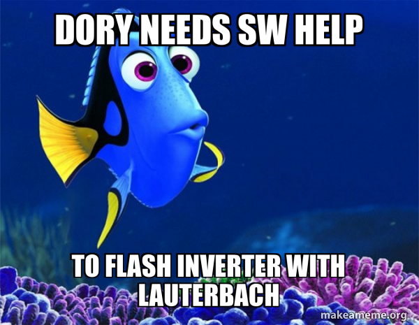 Dory needs SW help To flash inverter with lauterbach - Dory from Nemo ...