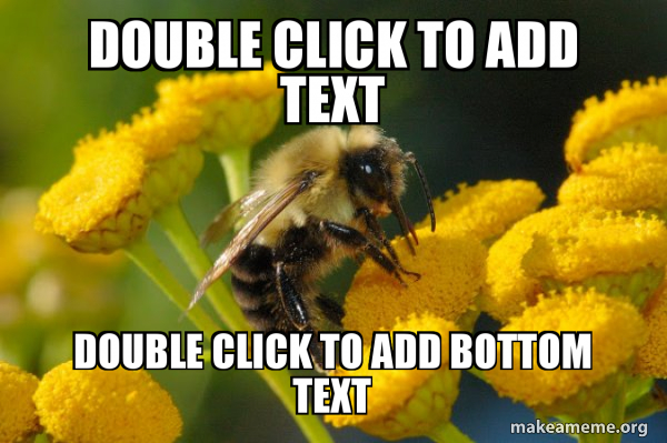 Double click to add text Double click to add bottom text - Good Guy Bee ...