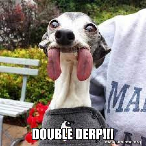 Double derp!!! Meme Generator