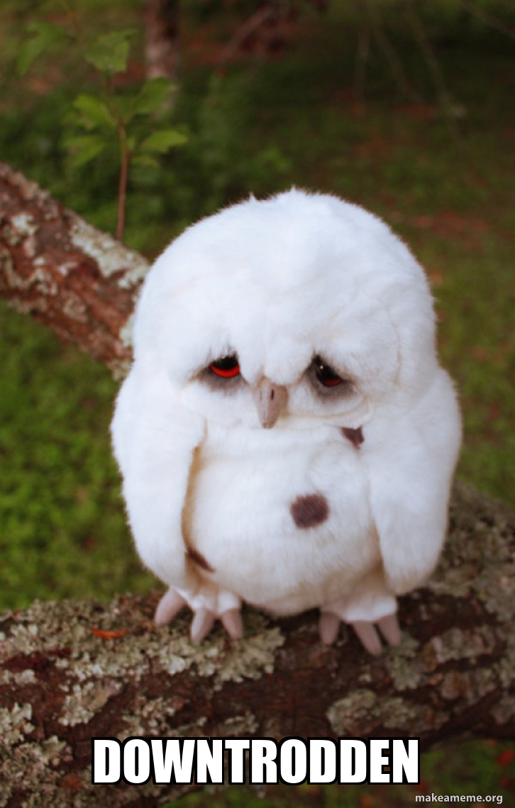 Downtrodden - Sad Owl Meme Generator