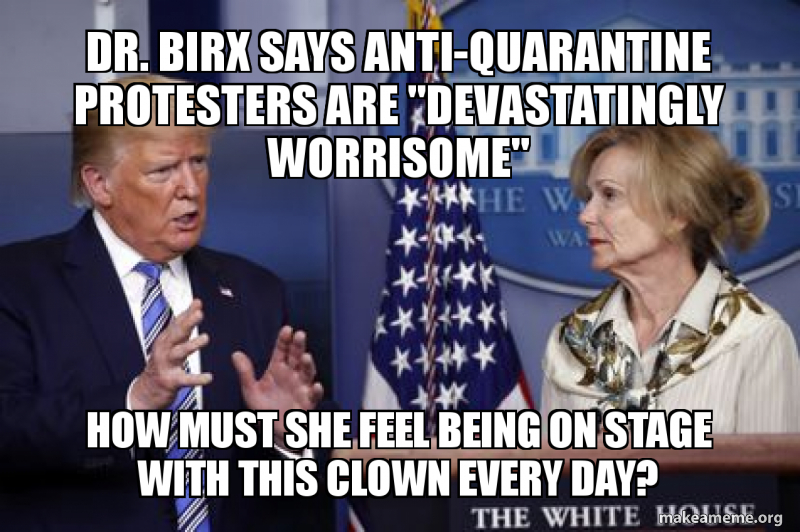 Dr. Birx says anti-quarantine protesters are "devastatingly worrisome ...