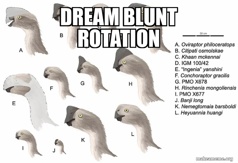DREAM BLUNT ROTATION Meme Generator