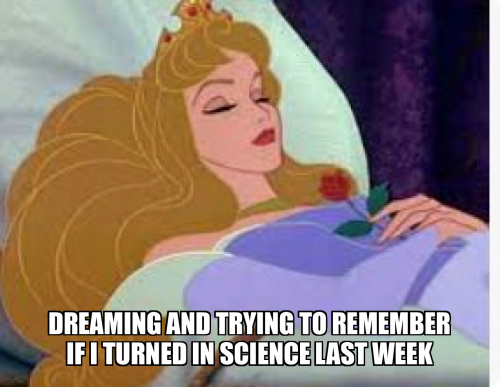 Dreaming and trying to remember if I turned in science last week Meme ...