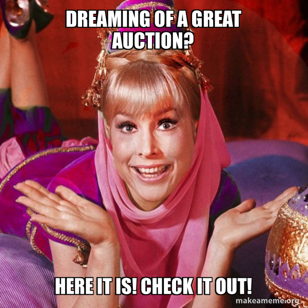 dreaming of a great auction? here it is! Check it out! Meme Generator