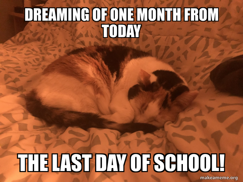 Dreaming of one month from today The last day of school! Meme Generator