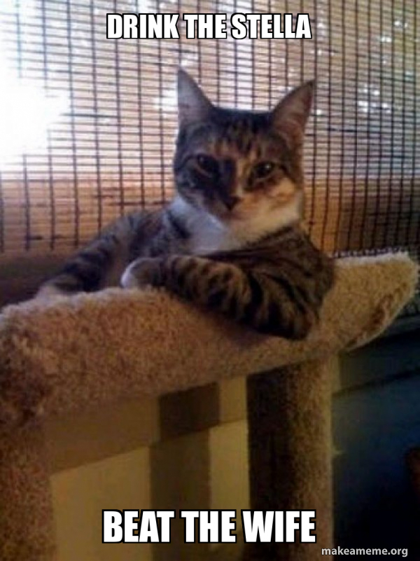 DRINK THE STELLA BEAT THE WIFE - The Most Interesting Cat in the World ...