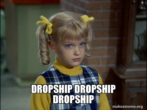 dropship dropship dropship - Cindy Brady Meme Meme Generator