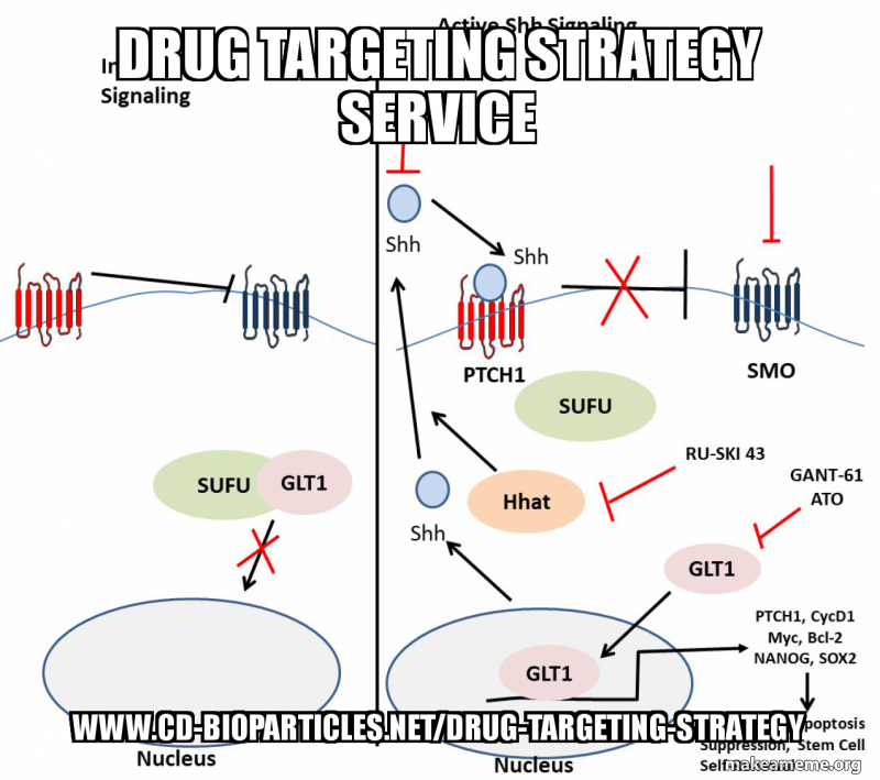 Drug Targeting Strategy Service www.cd-bioparticles.net/drug-targeting ...