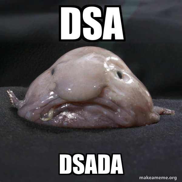 dsa dsada - Blobfish Meme Generator