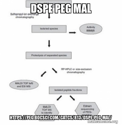 dspe peg mal https://peg.bocsci.com/catcs/813/dspe-peg-mal/ Meme Generator