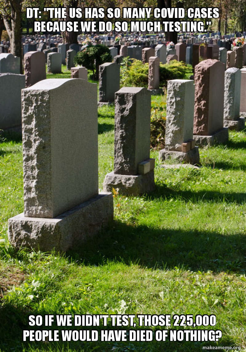 DT: "the US has so many Covid cases because we do so much testing." so ...