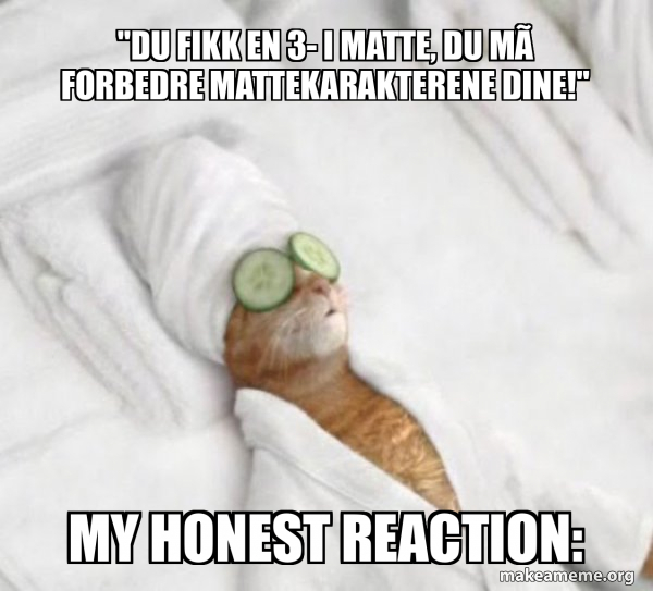 ''Du fikk en 3- i matte, du må forbedre mattekarakterene dine!'' My ...