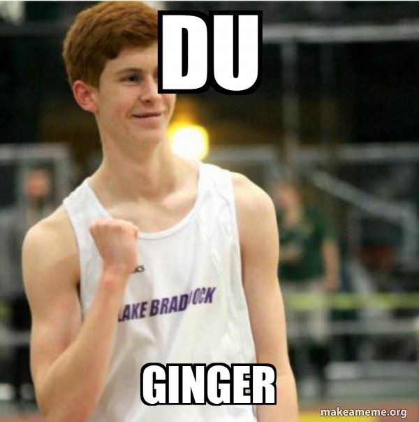 Du Ginger - Success Ginger Meme Generator