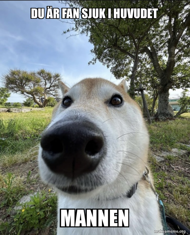 Du är fan sjuk i huvudet Mannen Meme Generator