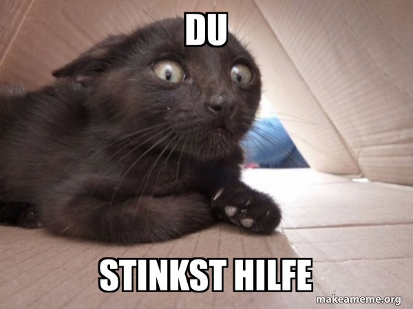 Du Stinkst hilfe - Schitzo Cat Meme Generator