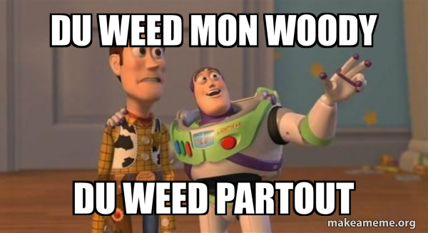 Du weed mon woody Du weed partout - Buzz and Woody (Toy Story) Meme ...