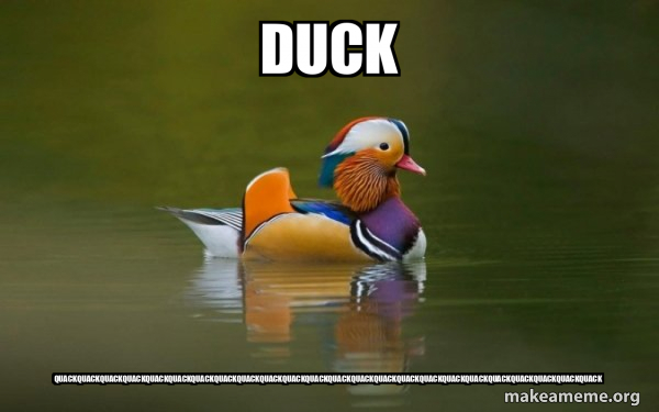 duck ...