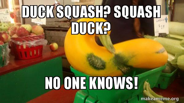 duck squash? squash duck? no one knows! - Gourd Advice Mallard Meme ...