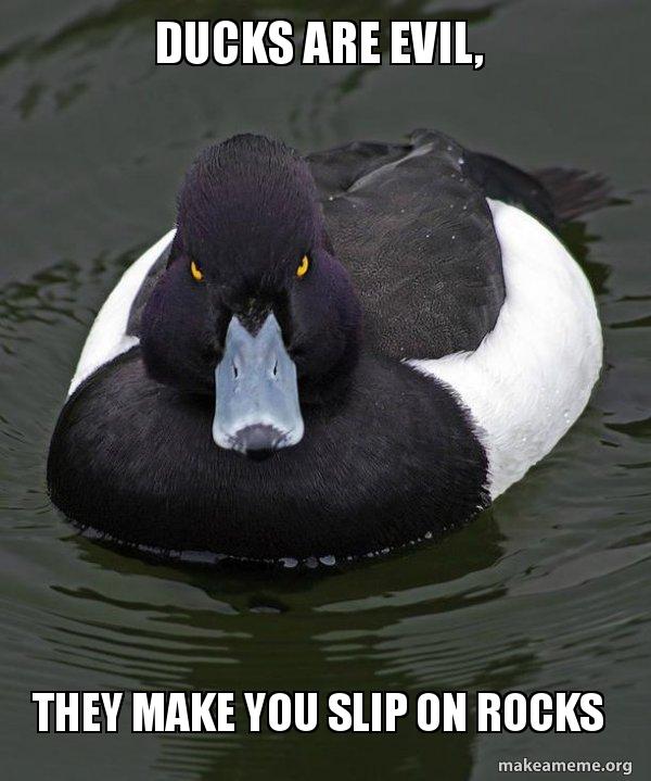 Ducks are evil, They make you slip on rocks - Revenge Duck ( Angry ...