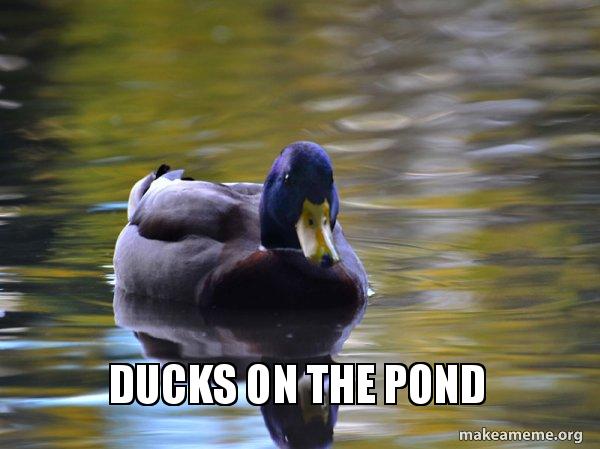 Ducks on the Pond - Zen Advice Mallard Meme Generator