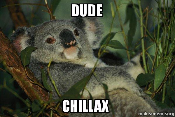 dude chillax - Laid Back Koala Meme Generator