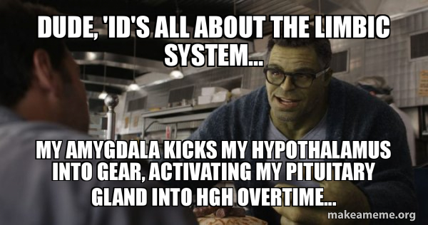 Limbic System Memes Add Funny Memes And Scenarios Here!! | Fandom