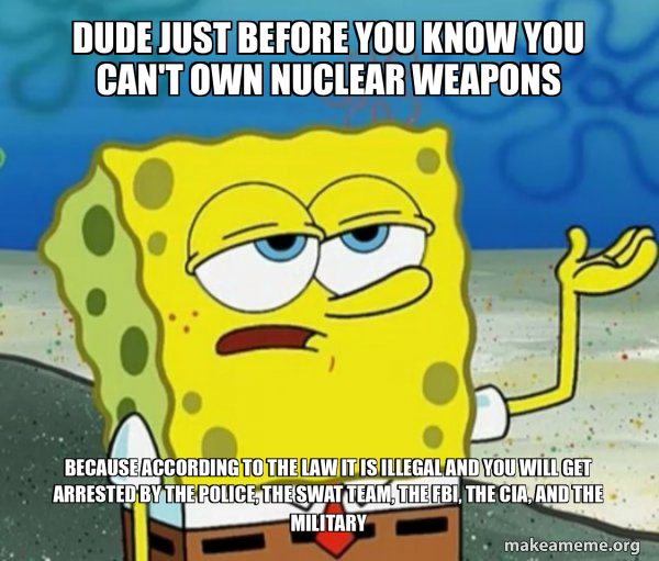 dude just before you know you can't own nuclear weapons because ...