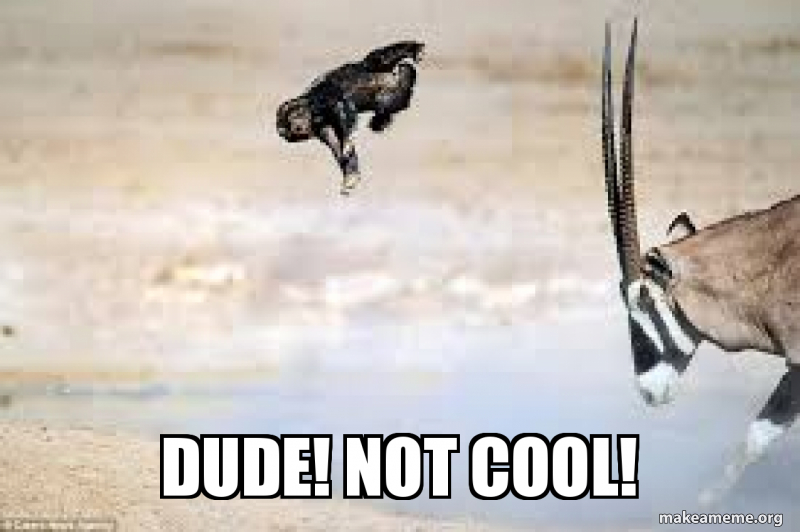 Dude! not cool! Meme Generator