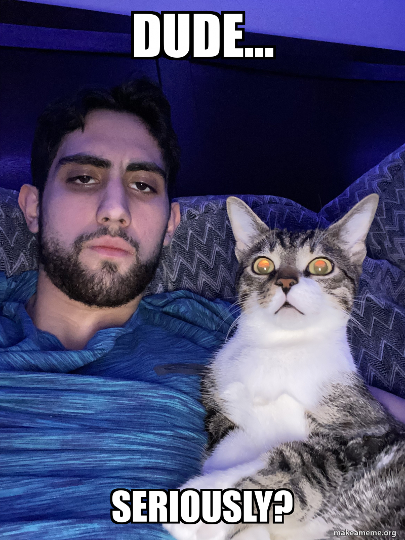 Dude… Seriously? Meme Generator