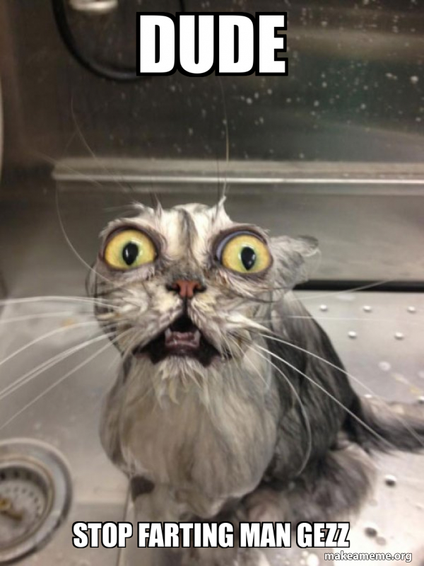 Dude Stop farting man gezz - Cat bath Meme Generator