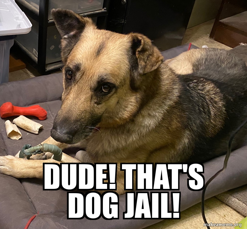 Dude! That's dog jail! Meme Generator