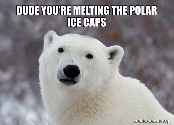 dude you’re melting the polar ice caps - Popular Opinion Polar Bear ...