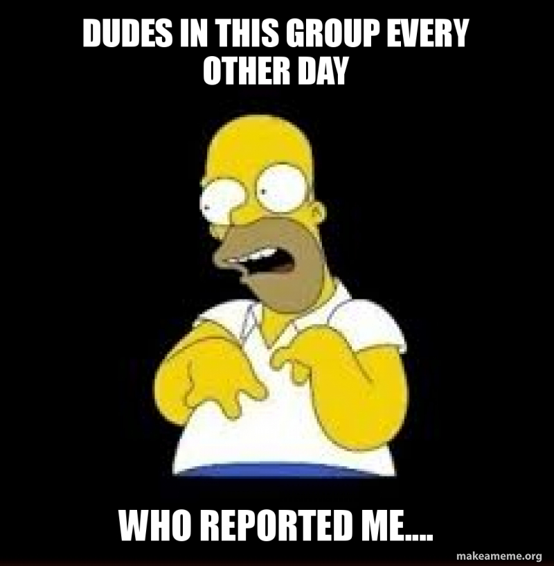 Dudes in this group every other Day Who repOrted me.... Meme Generator