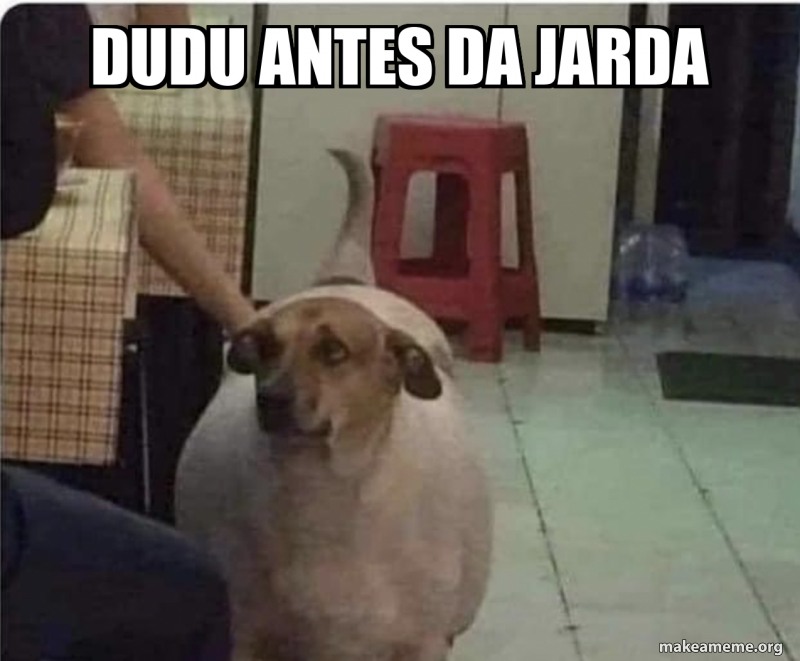 Dudu antes da jarda Meme Generator