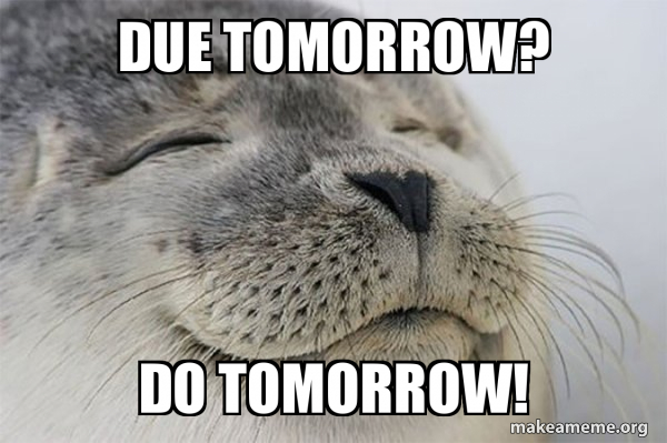 Due Tomorrow? Do Tomorrow! - Satisfied Seal Meme Generator