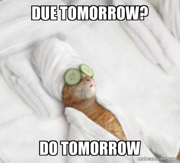 Due tomorrow? Do tomorrow - Pampered Cat Meme Meme Generator