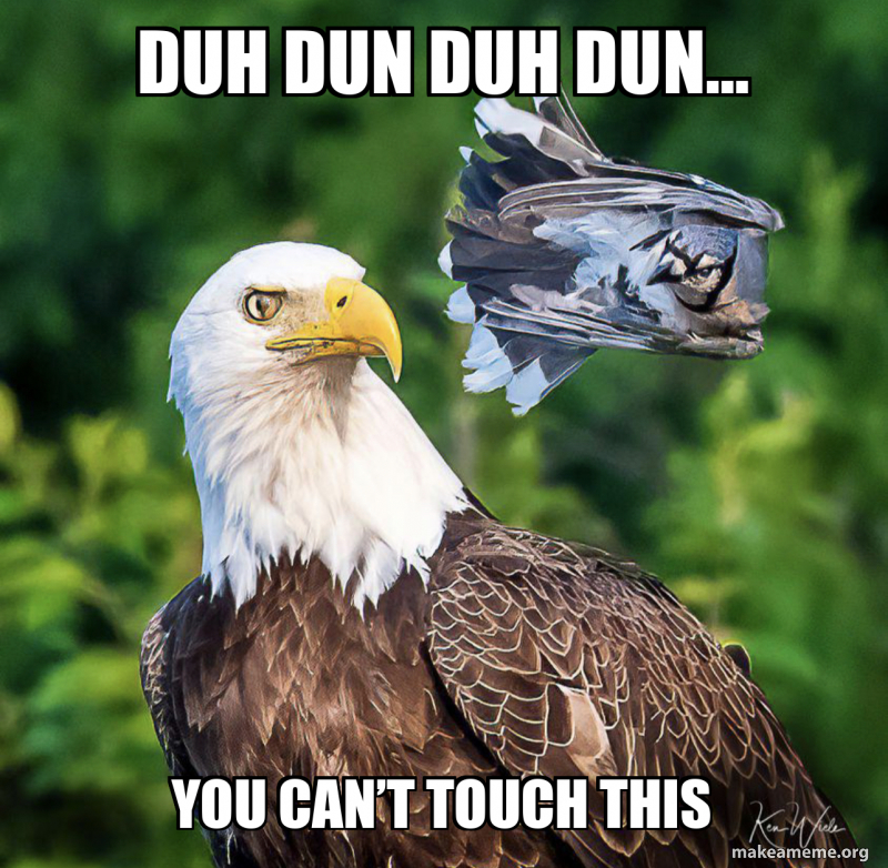 Duh dun duh dun… You can’t Touch this Meme Generator
