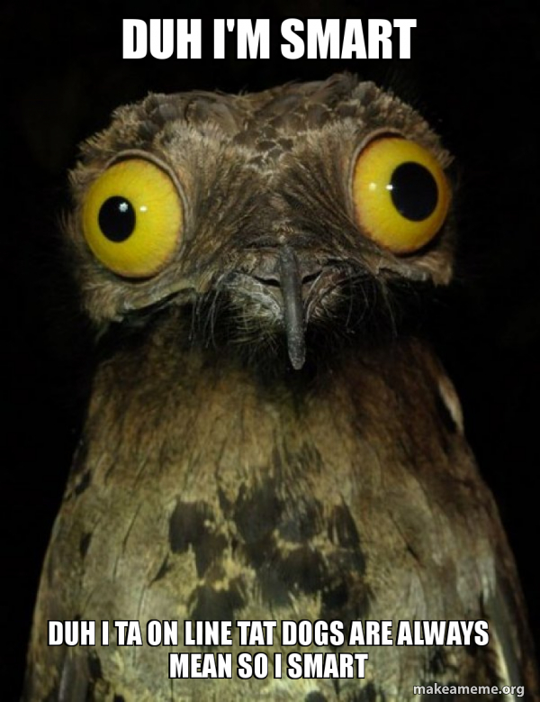 duh i'm smart duh I ta on line tat dogs are always mean so i smart ...